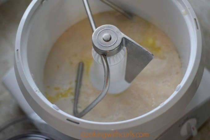 Traditional Czech Kolache Recipe - Cooking with Curls