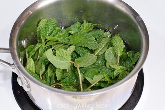 Peppermint Syrup - Cooking with Curls