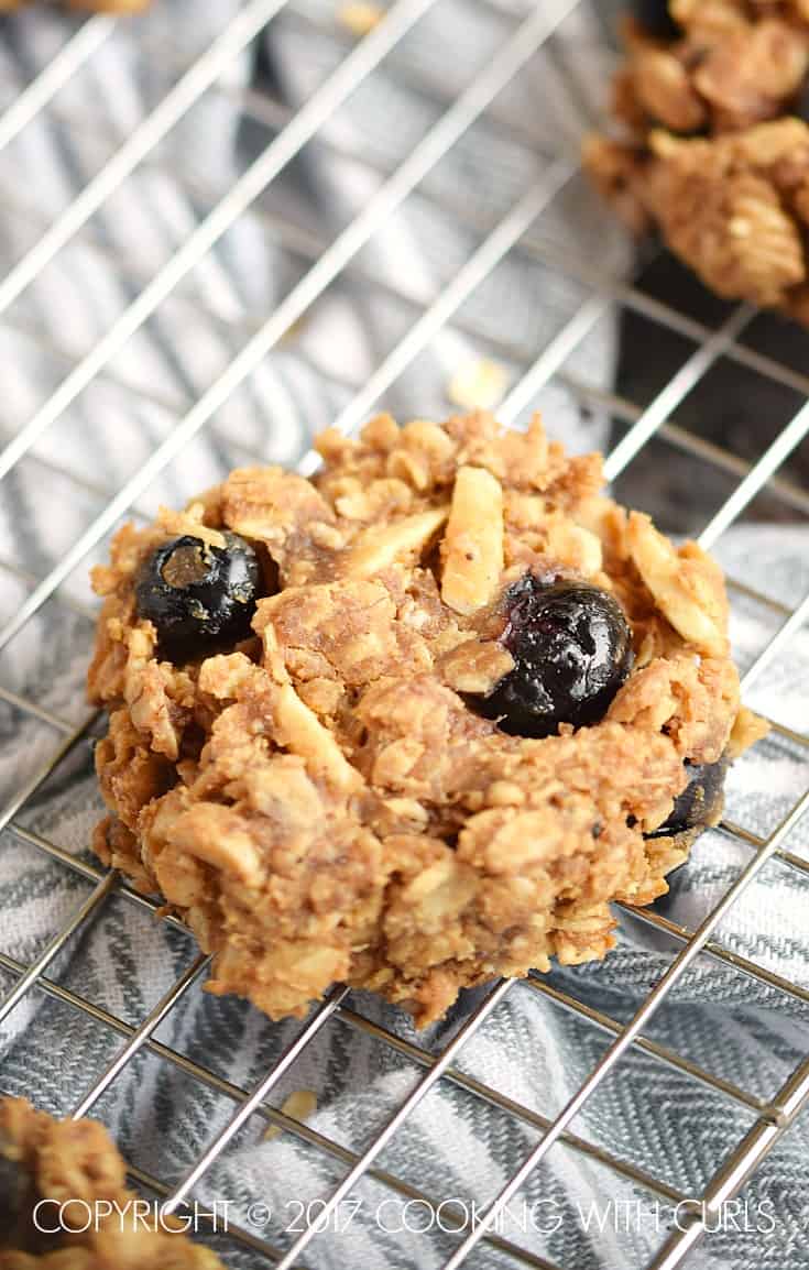Blueberry Breakfast Cookies - Cooking with Curls