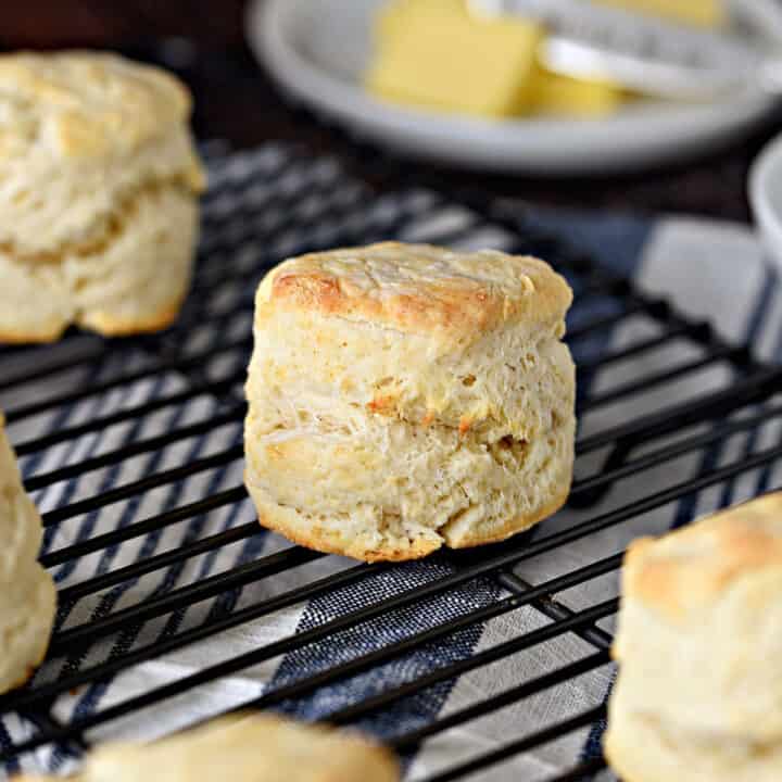 Homemade Buttermilk Biscuits - Cooking with Curls