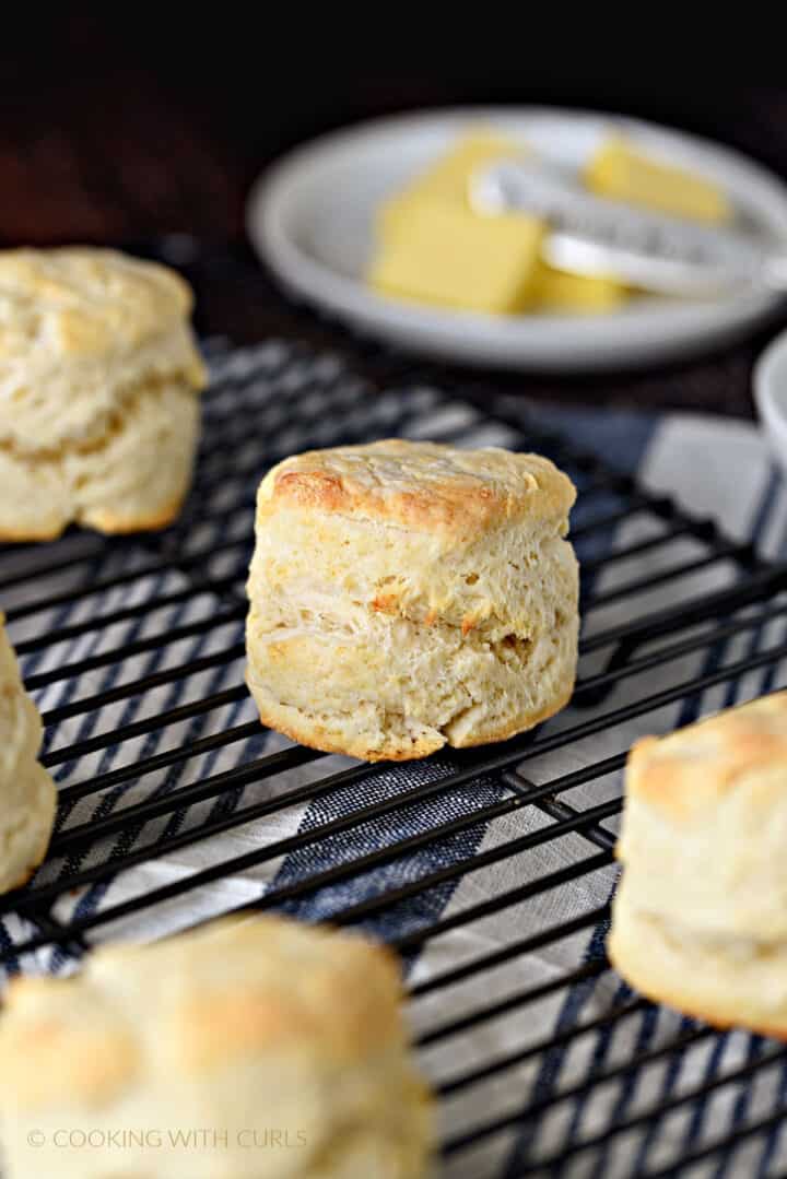 Homemade Buttermilk Biscuits - Cooking with Curls
